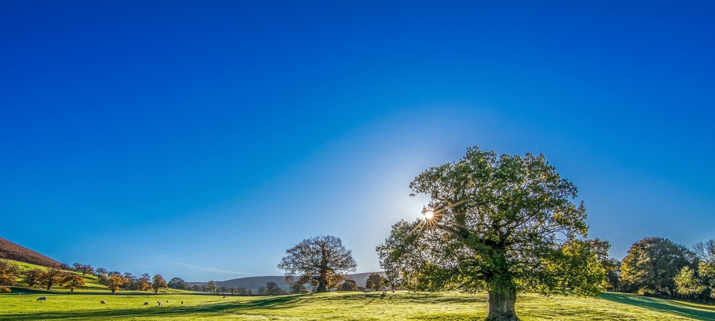 First International Day for Clean Air calls for decisive global action ...